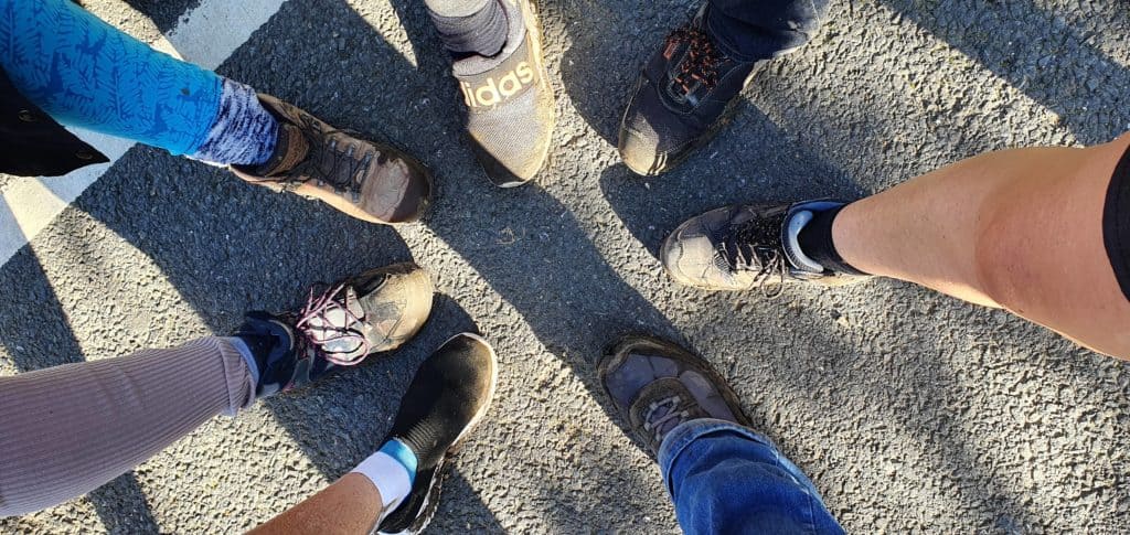 News and Opportunities - IW Creative Network